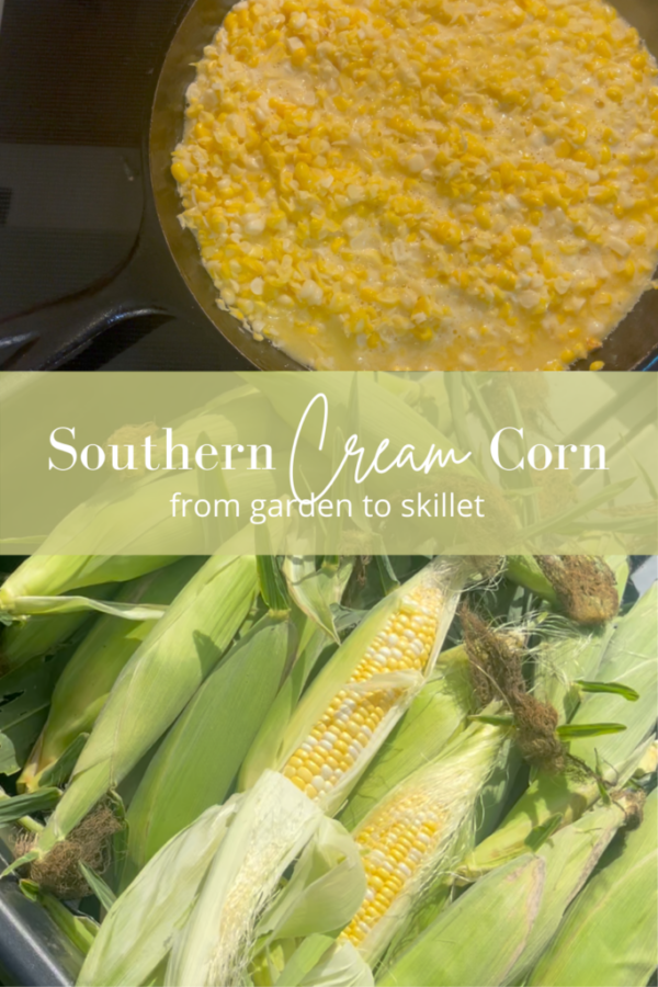 How to Make Southern Cream Corn - Simply Made Homestead