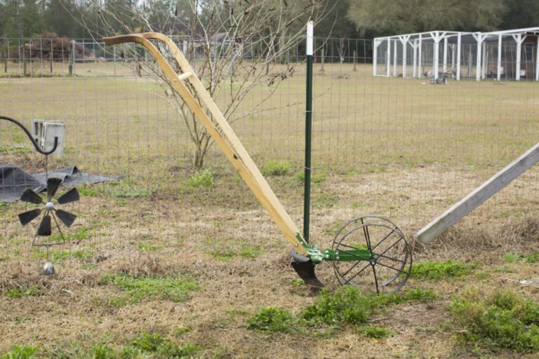 Let's Get Dirty In The Garden: how to plant seed potatoes - Simply Made ...