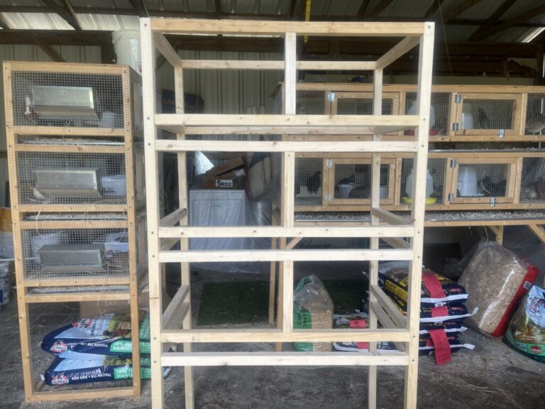Quail Cage Build Made Easy - Simply Made Homestead