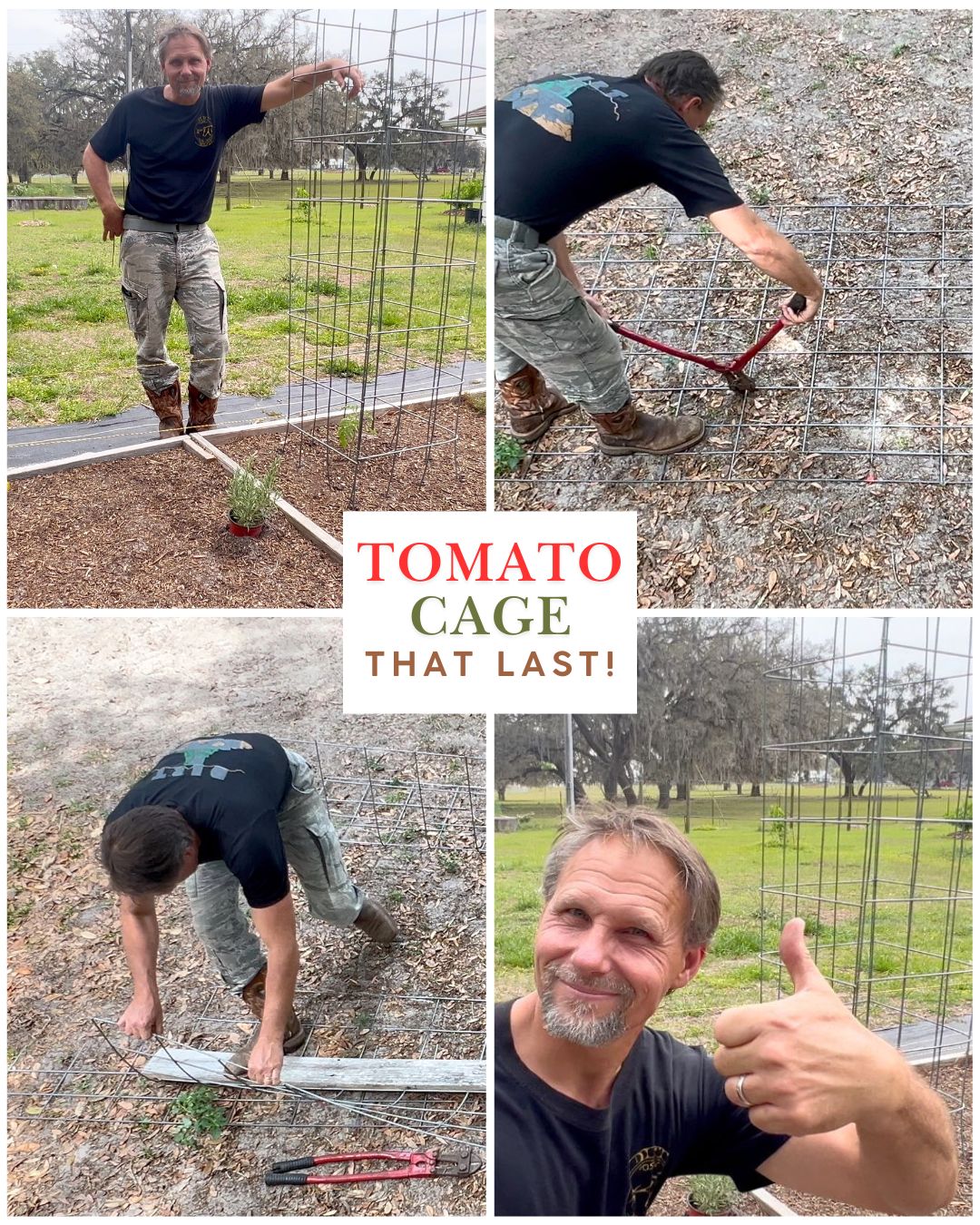 How to Make a Heavy-Duty Tomato Cage That Will Last for Years! - Simply ...