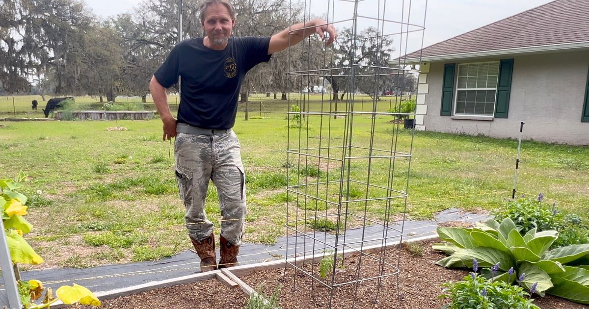 How to Make a Heavy-Duty Tomato Cage That Will Last for Years! - Simply ...